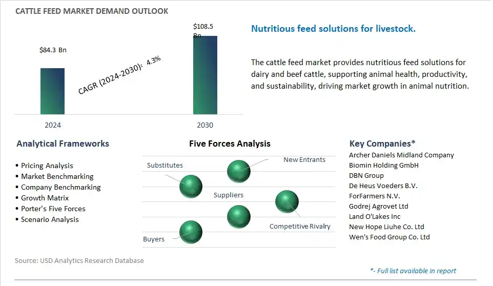Cattle Feed Market Demand and Growth Insights 2024